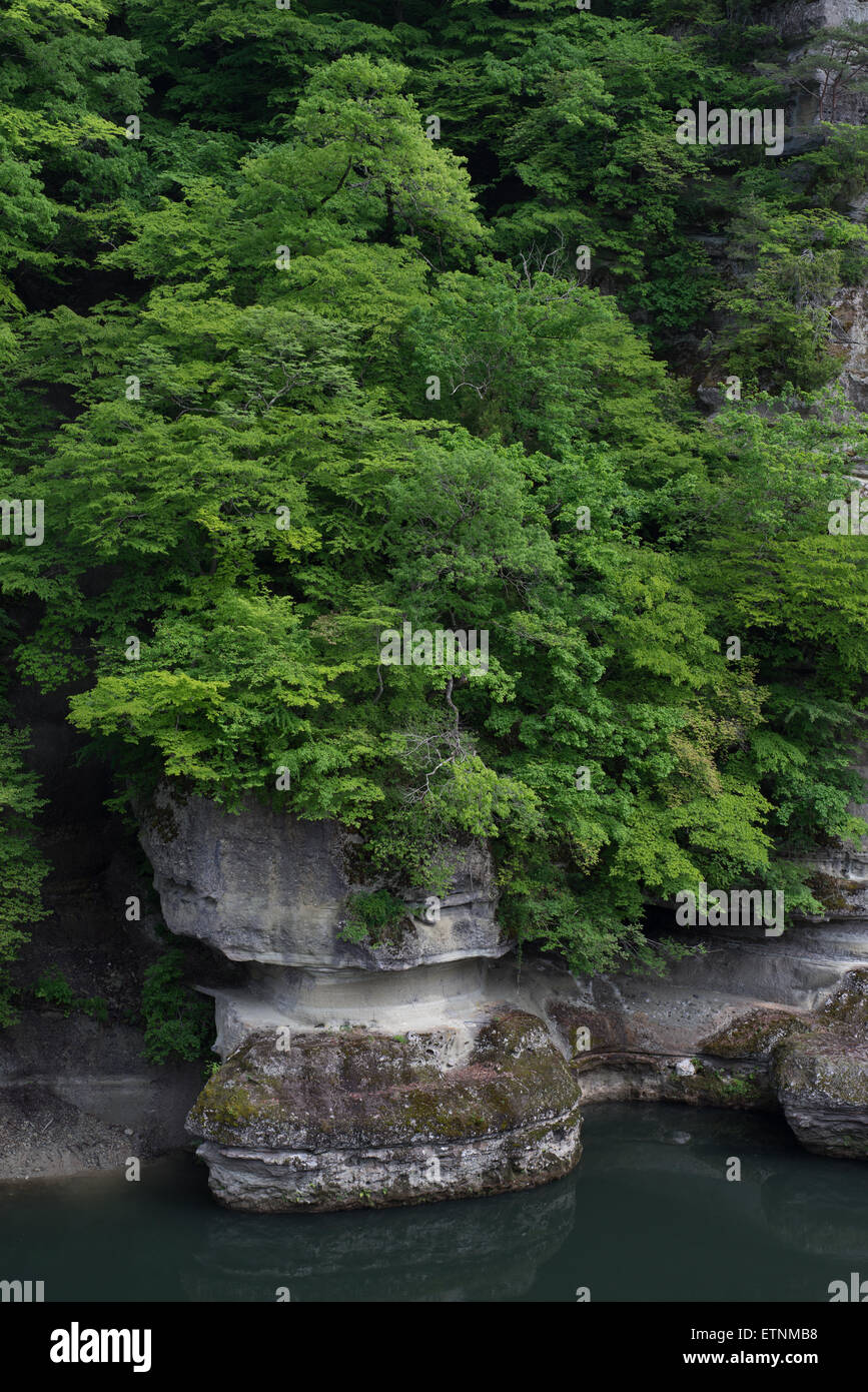 Volcanic rock formations in Shimogo, Fukushima Prefecture, Japan Stock ...