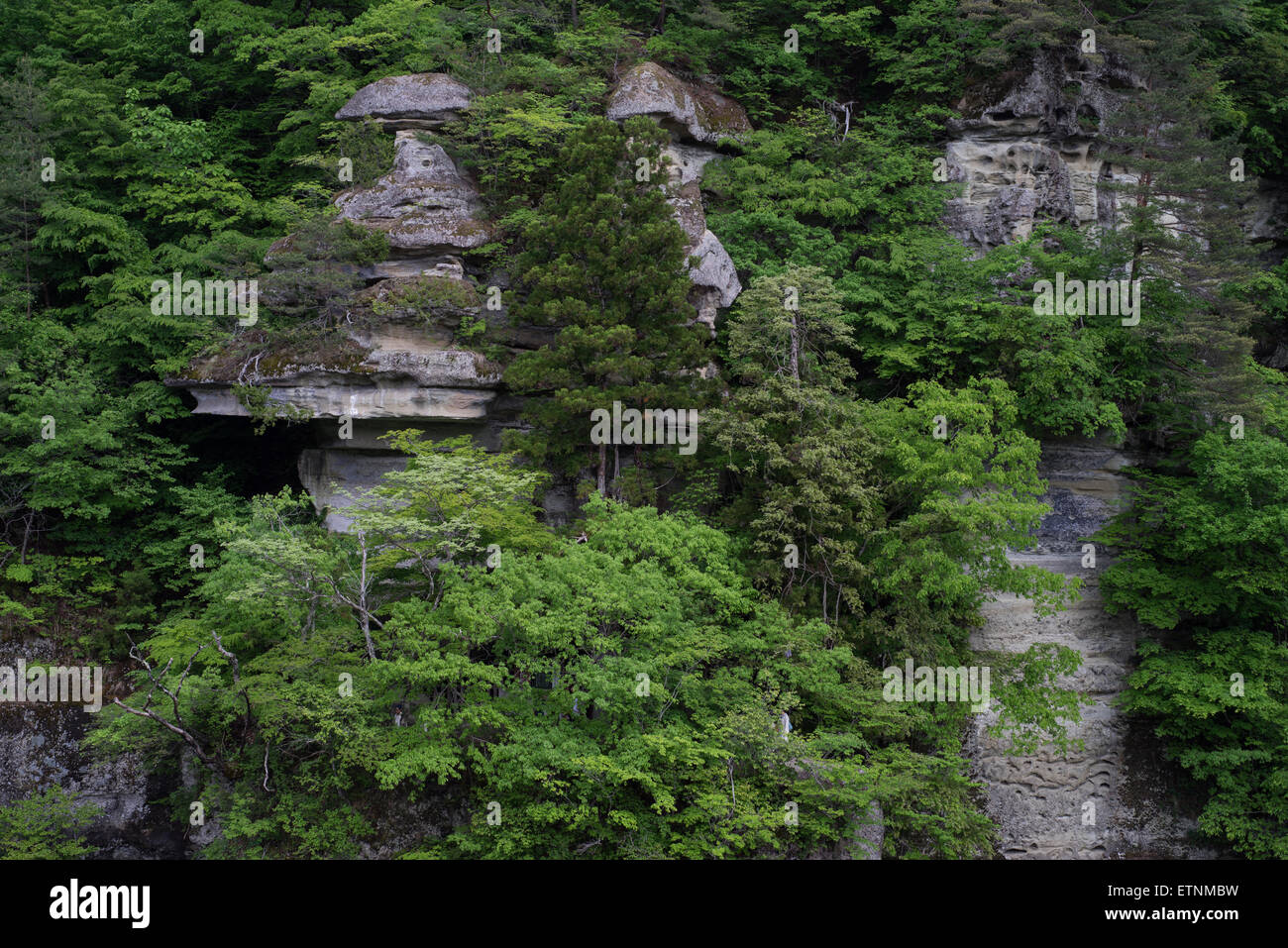 Volcanic rock formations in Shimogo, Fukushima Prefecture, Japan Stock ...
