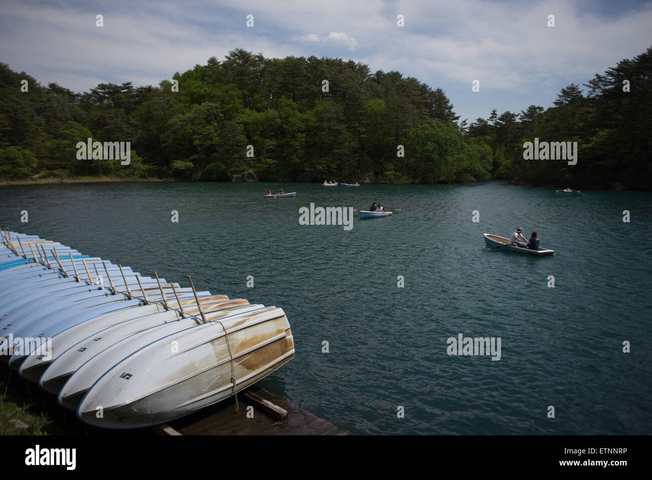 Numa hi-res stock photography and images - Alamy