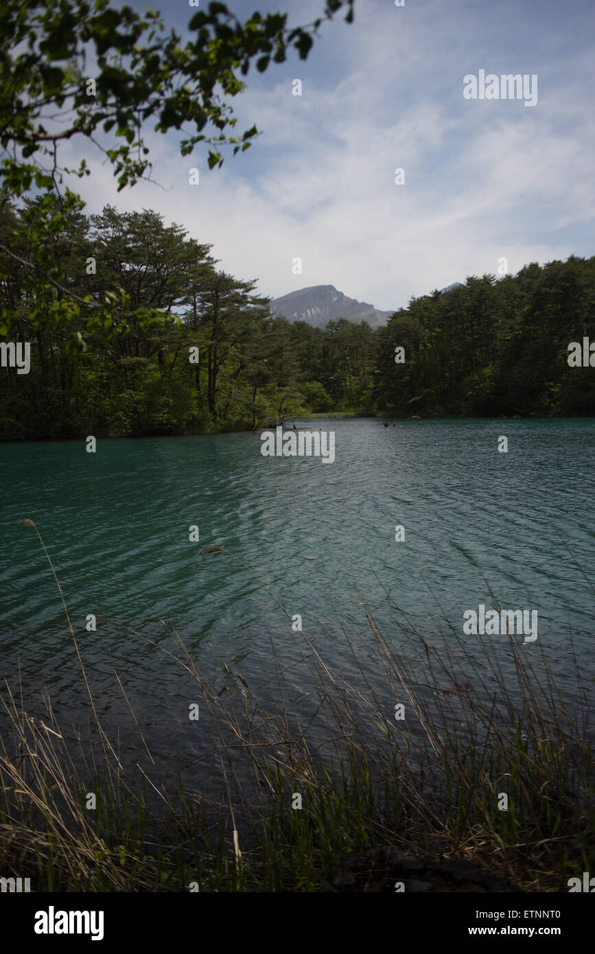 View of Goshiki-numa lake, Fukushima Prefecture, Japan Stock Photo - Alamy