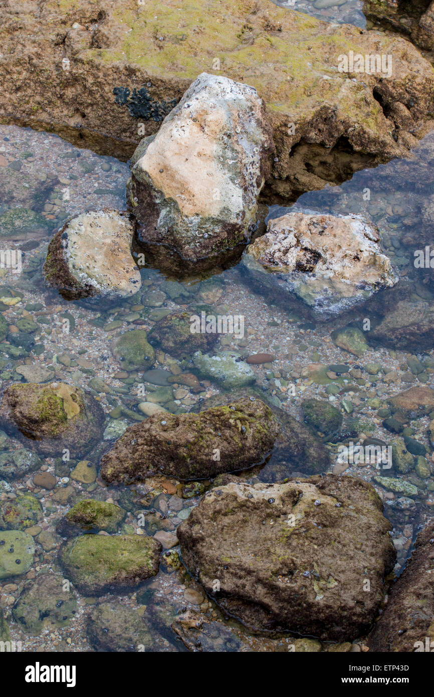 Shoreline view of the ocean water creating pools of water between tides ...