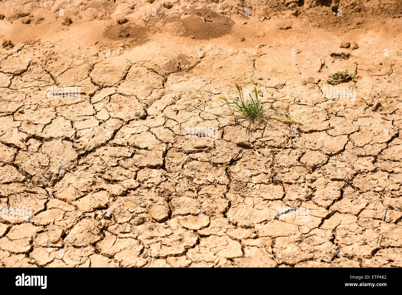 cracked dry desert ground. Wadi Rum Jordan Stock Photo - Alamy