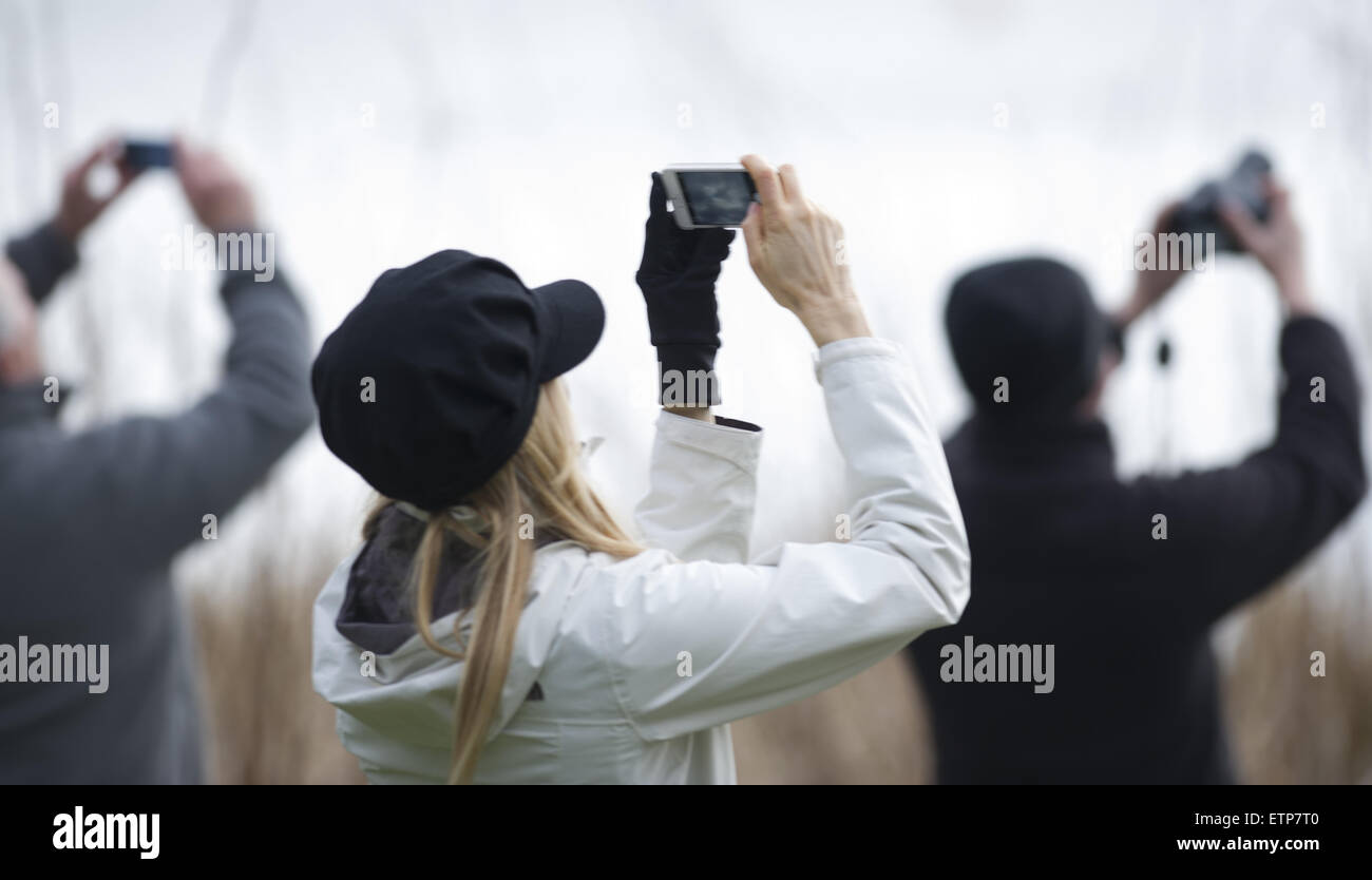 Solar Eclipse near Linlithgow, Scotland Featuring: Atmosphere Where ...