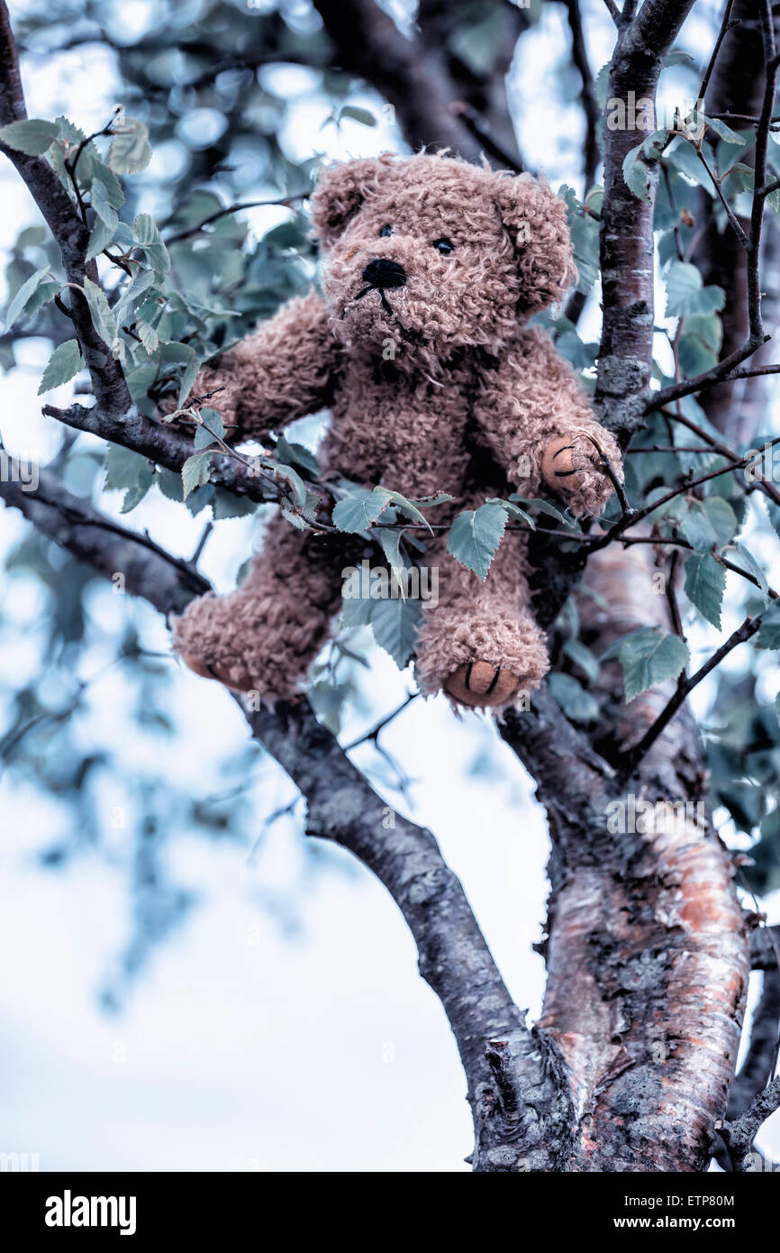 Hanging teddy bear hi-res stock photography and images - Alamy