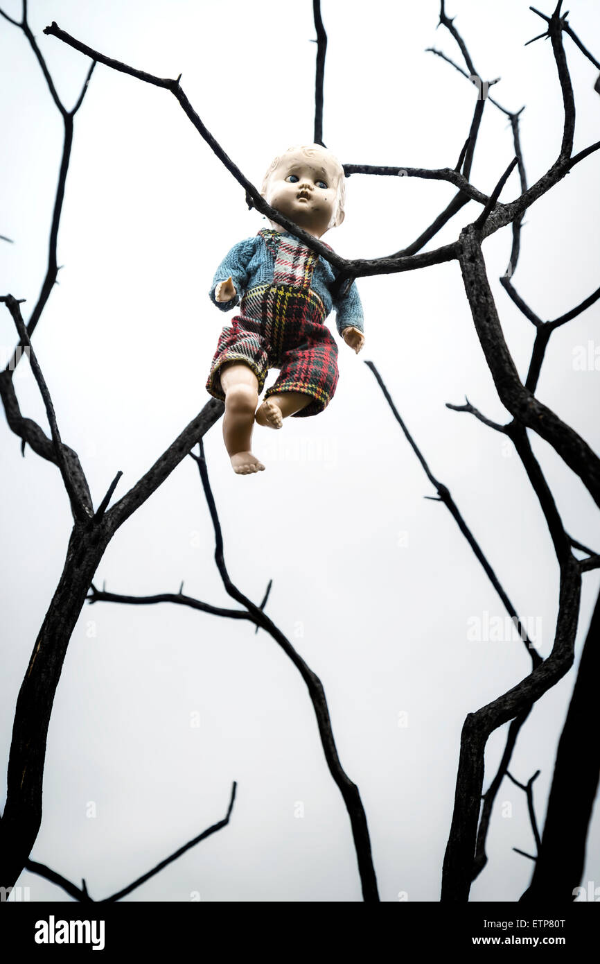 Hanging tree hi-res stock photography and images - Alamy