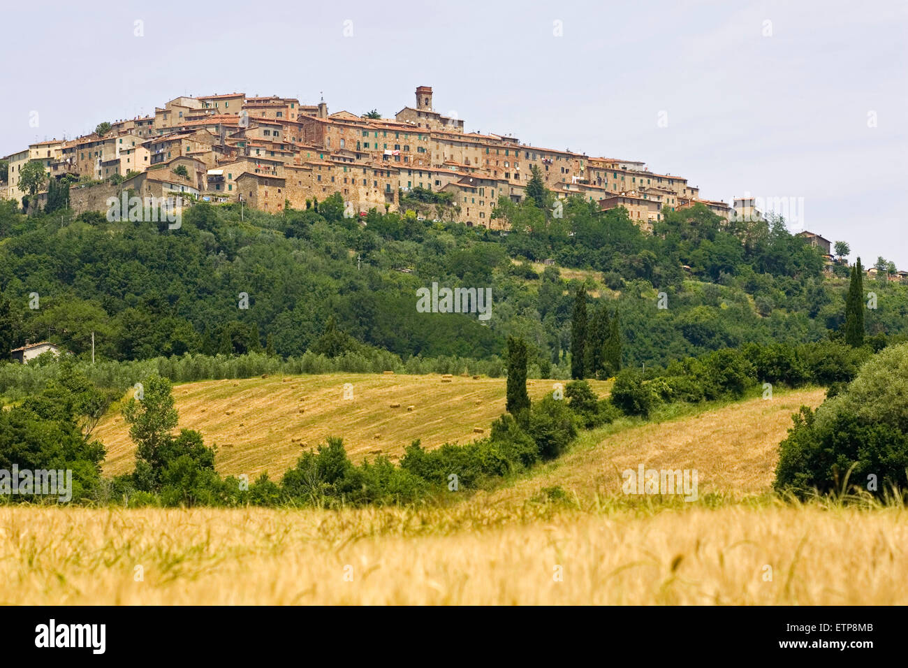 europe, italy, tuscany, chiusdino village Stock Photo - Alamy
