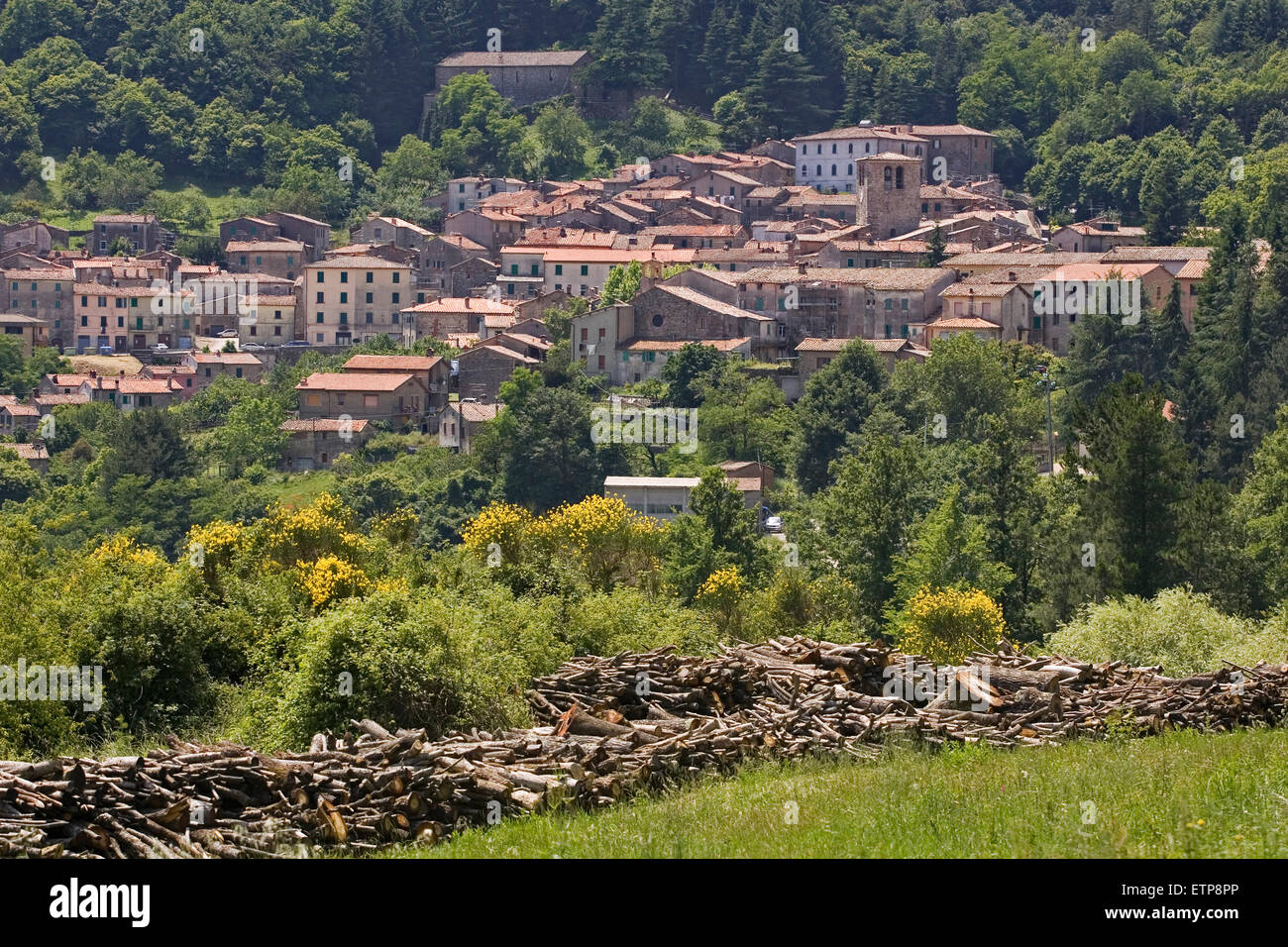 europe, italy, tuscany, montieri Stock Photo - Alamy