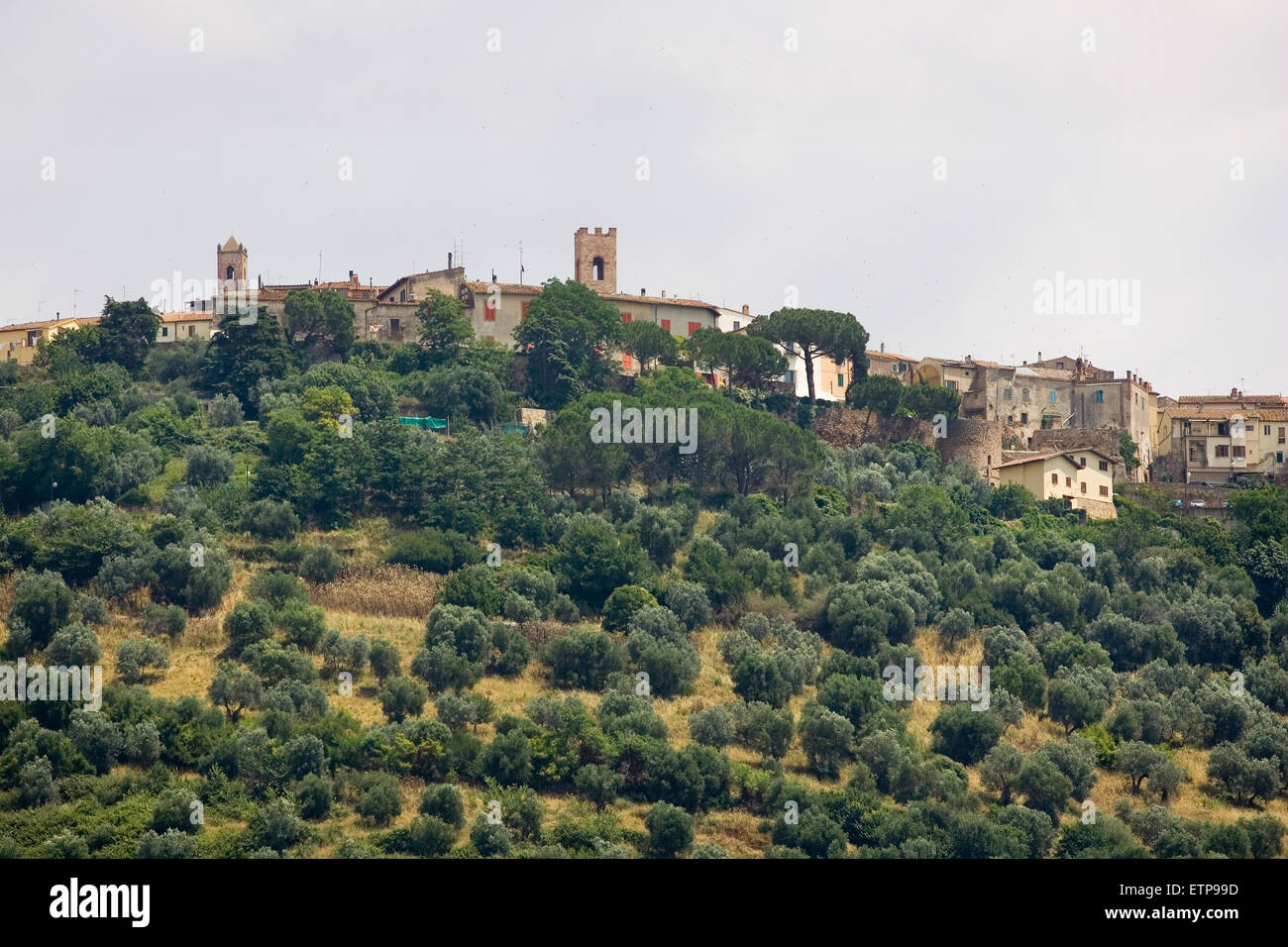 europe, italy, tuscany, montepescali Stock Photo - Alamy