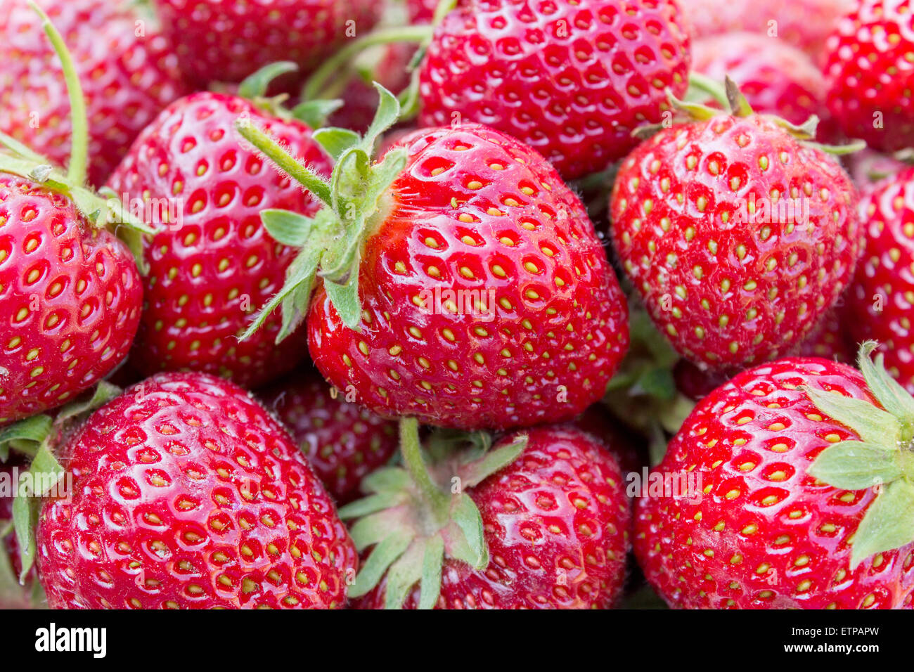 Fresh ripe summer berries strawberries hi-res stock photography and ...