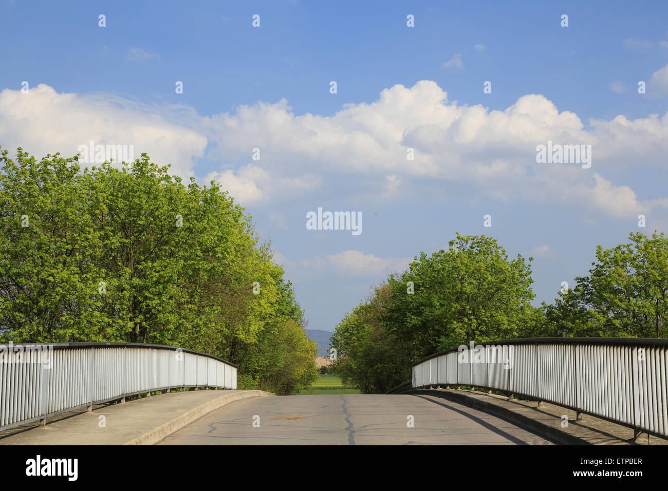 Bridge with trees Stock Photo - Alamy