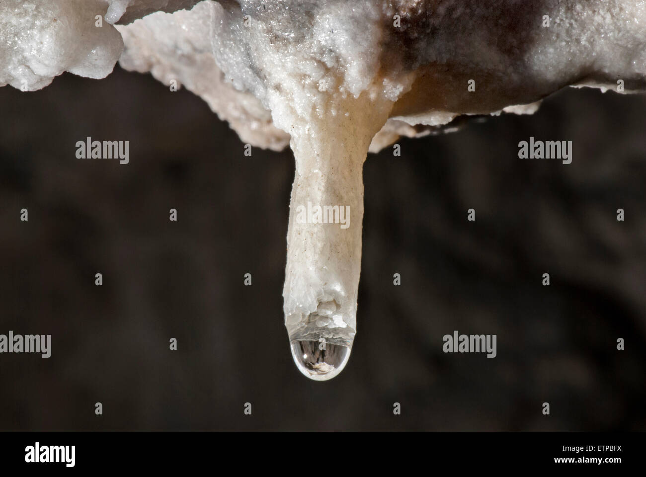 small stalactite with drop of water Stock Photo - Alamy