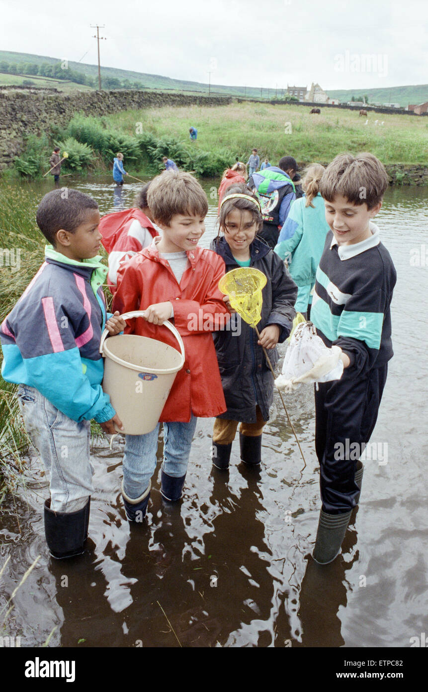 Pond dipping... pupils of Sheepridge's Ashbrow Junior School (from left ...