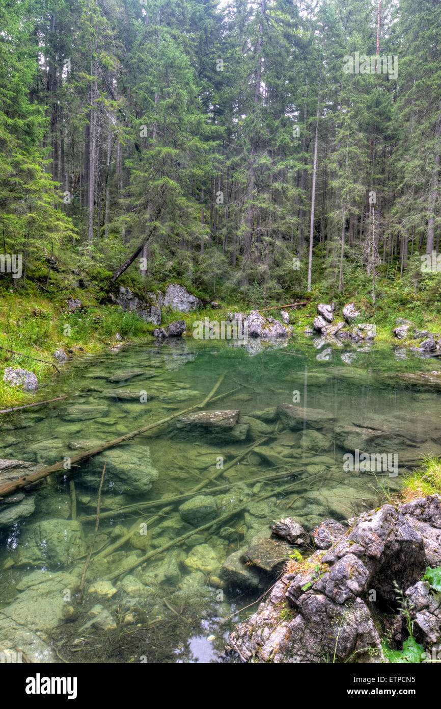 Small pool near lake Eibsee, Grainau, Upper Bavaria, Bavaria, Germany ...