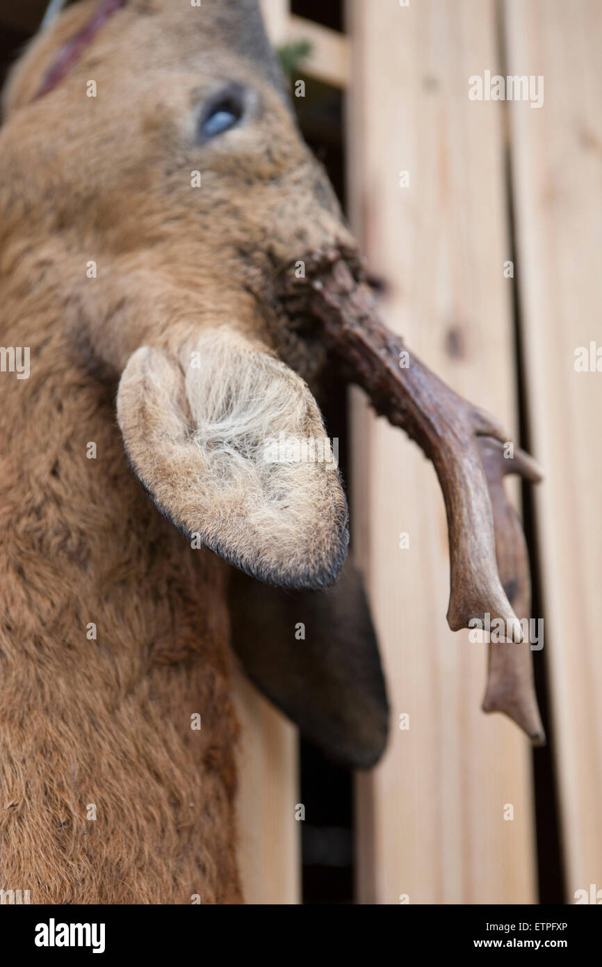Gashed head hi-res stock photography and images - Alamy
