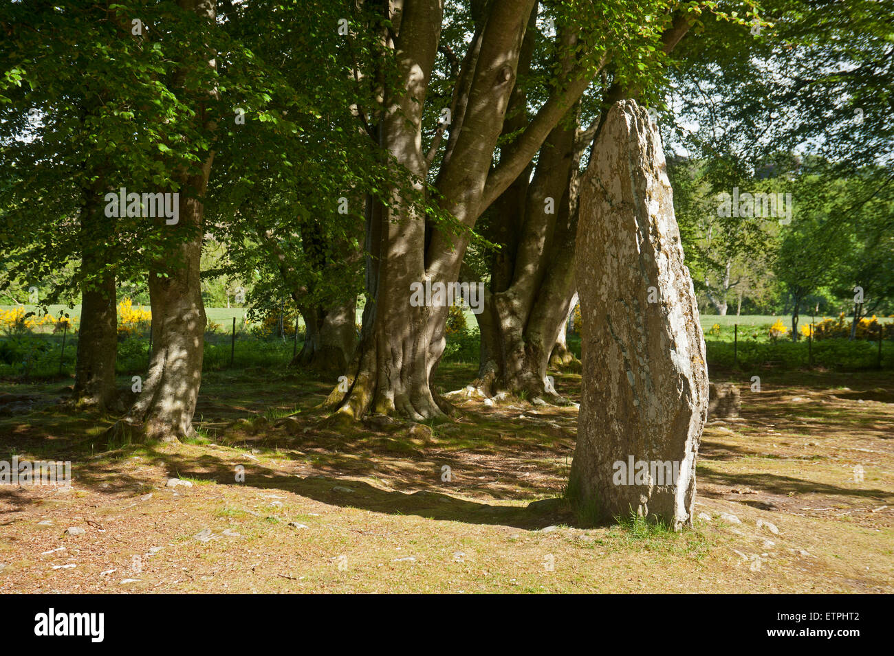 Well Preserved Scottish Neolithic site of Passage Graves and Ring ...