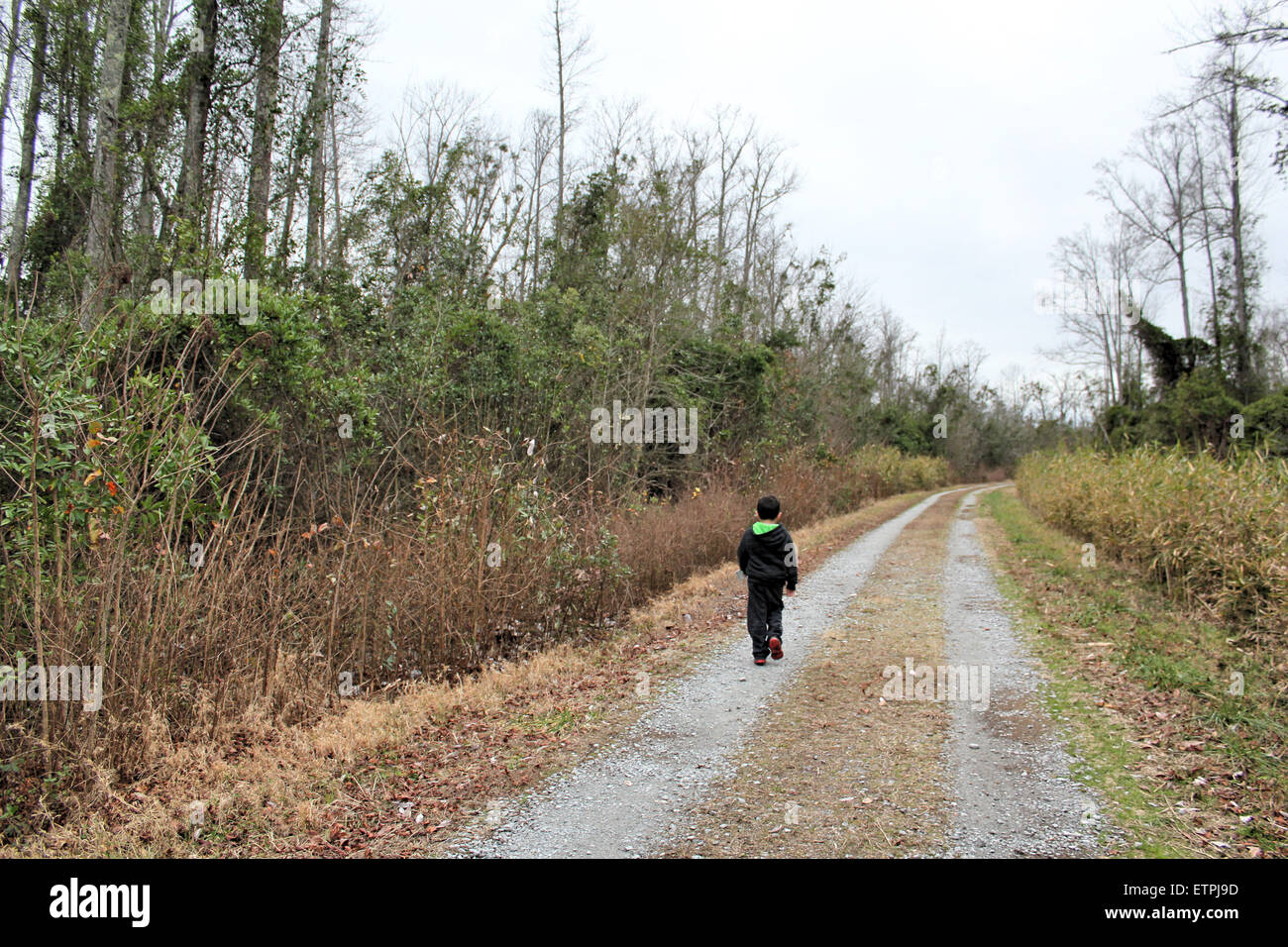 Boy adventuring down a trail Stock Photo - Alamy