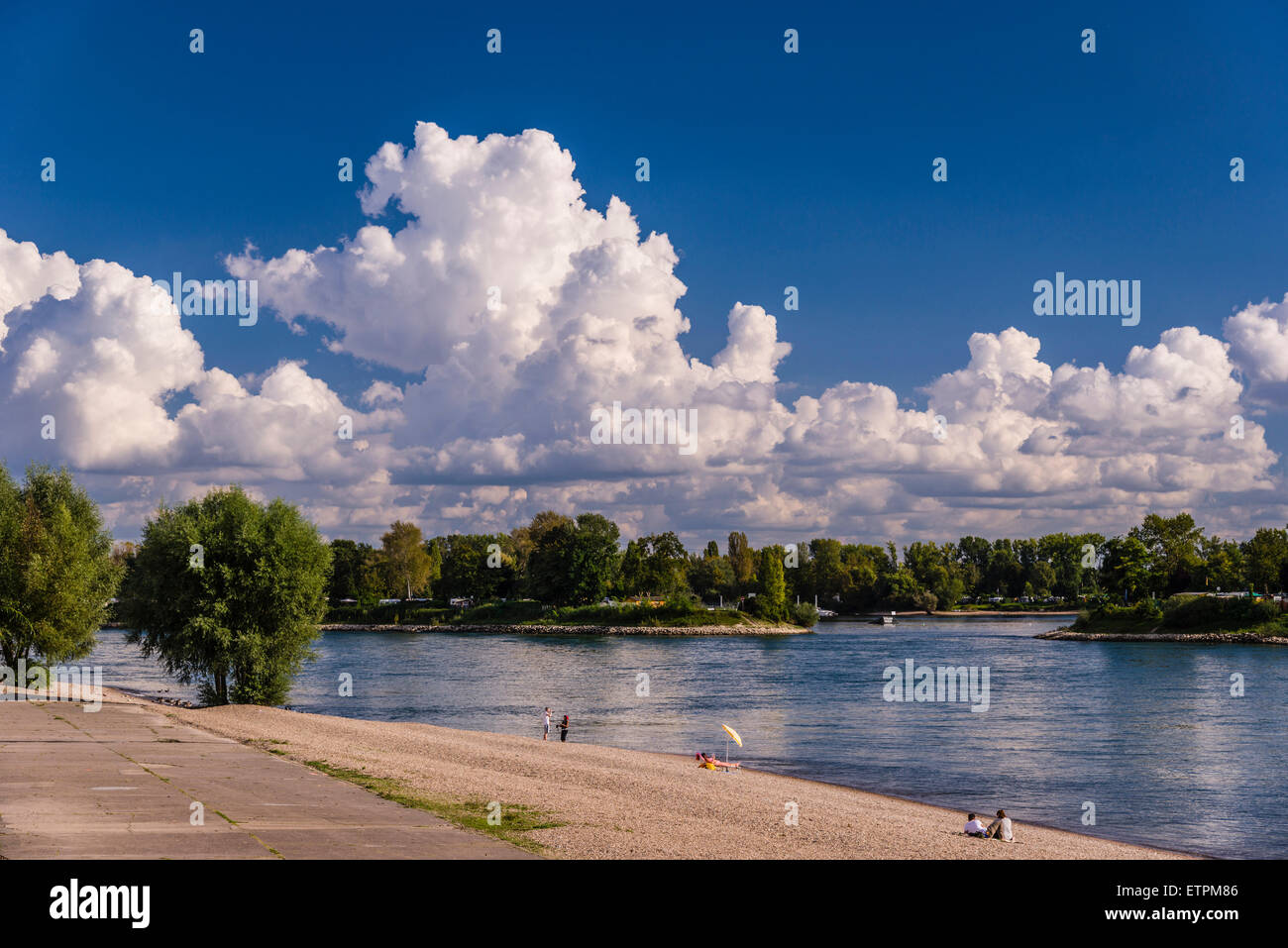 Germany, Baden-Wurttemberg, Rhine Neckar region, Mannheim, river Rhine ...