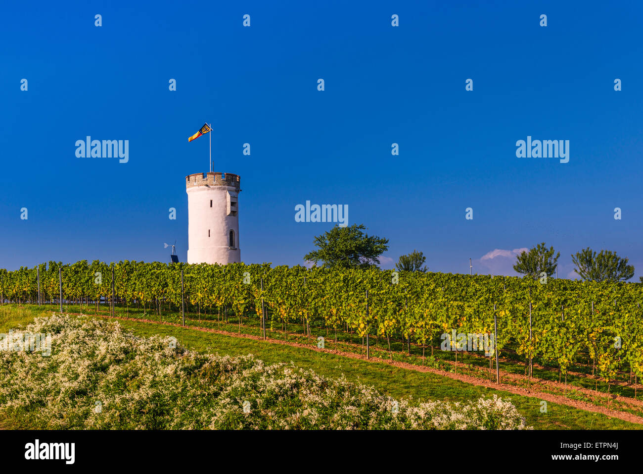 Rhine rift valley hi-res stock photography and images - Alamy