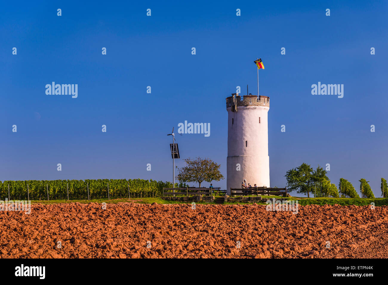 Germany, Rhineland-Palatinate, Rheinhessen region (Rhine-Hesse ...