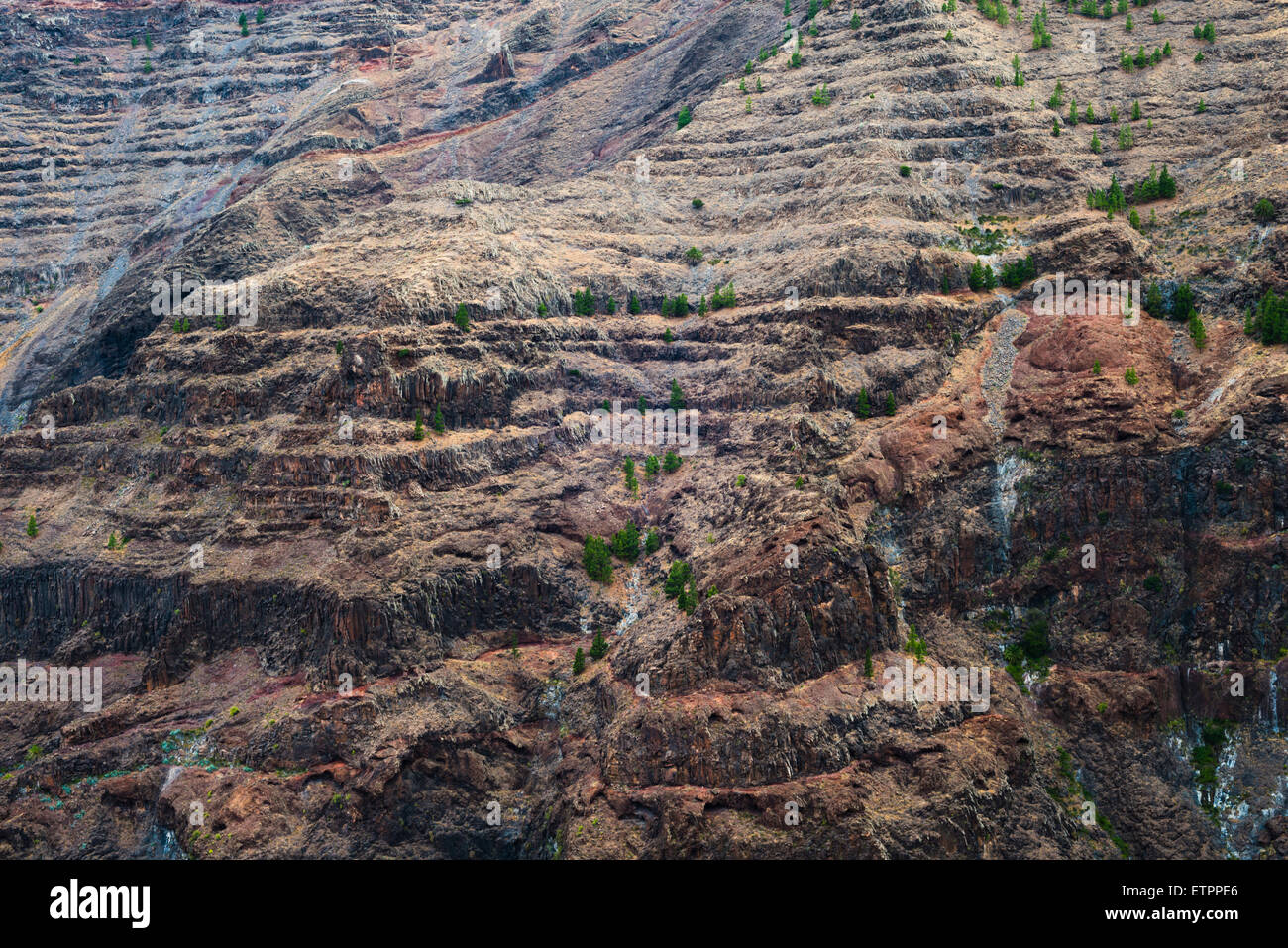 The thick lava stack forming the colourful, weathered cliffs of the ...