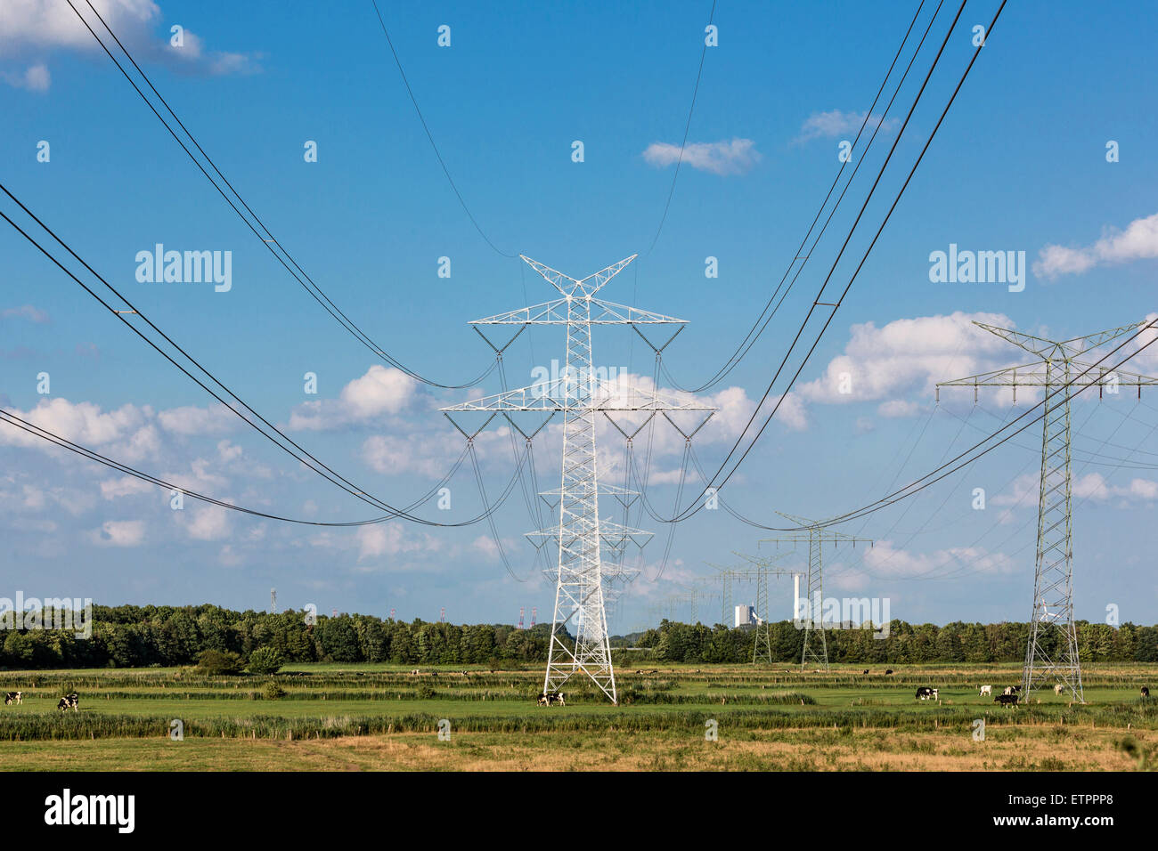 high-voltage poles, near Wilhelmshaven, Lower Saxony, Germany Stock ...
