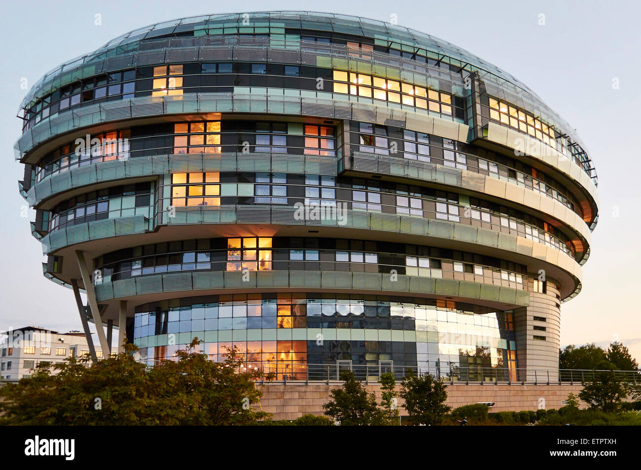 Neuroscience hi-res stock photography and images - Alamy