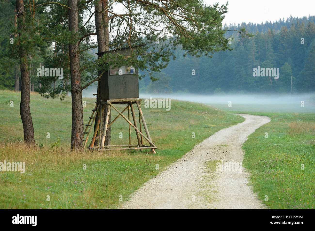 Landscape, forest path, valley, raised hide, group of trees Stock Photo ...