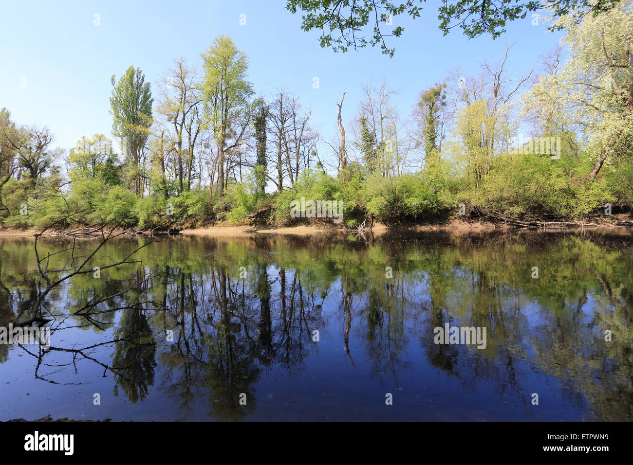 Wetlands scenery in spring Stock Photo - Alamy