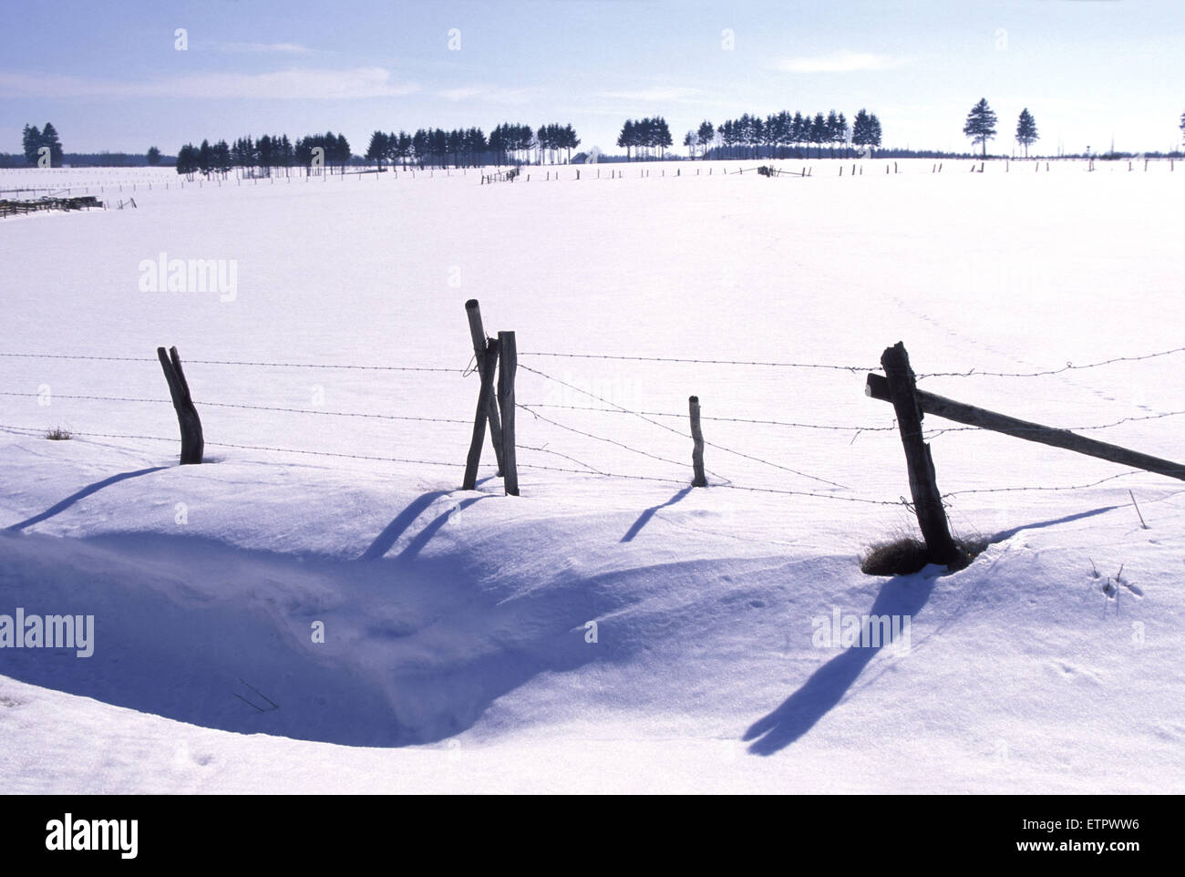 Bel belgium eastbelgium winter landscape hi-res stock photography and ...