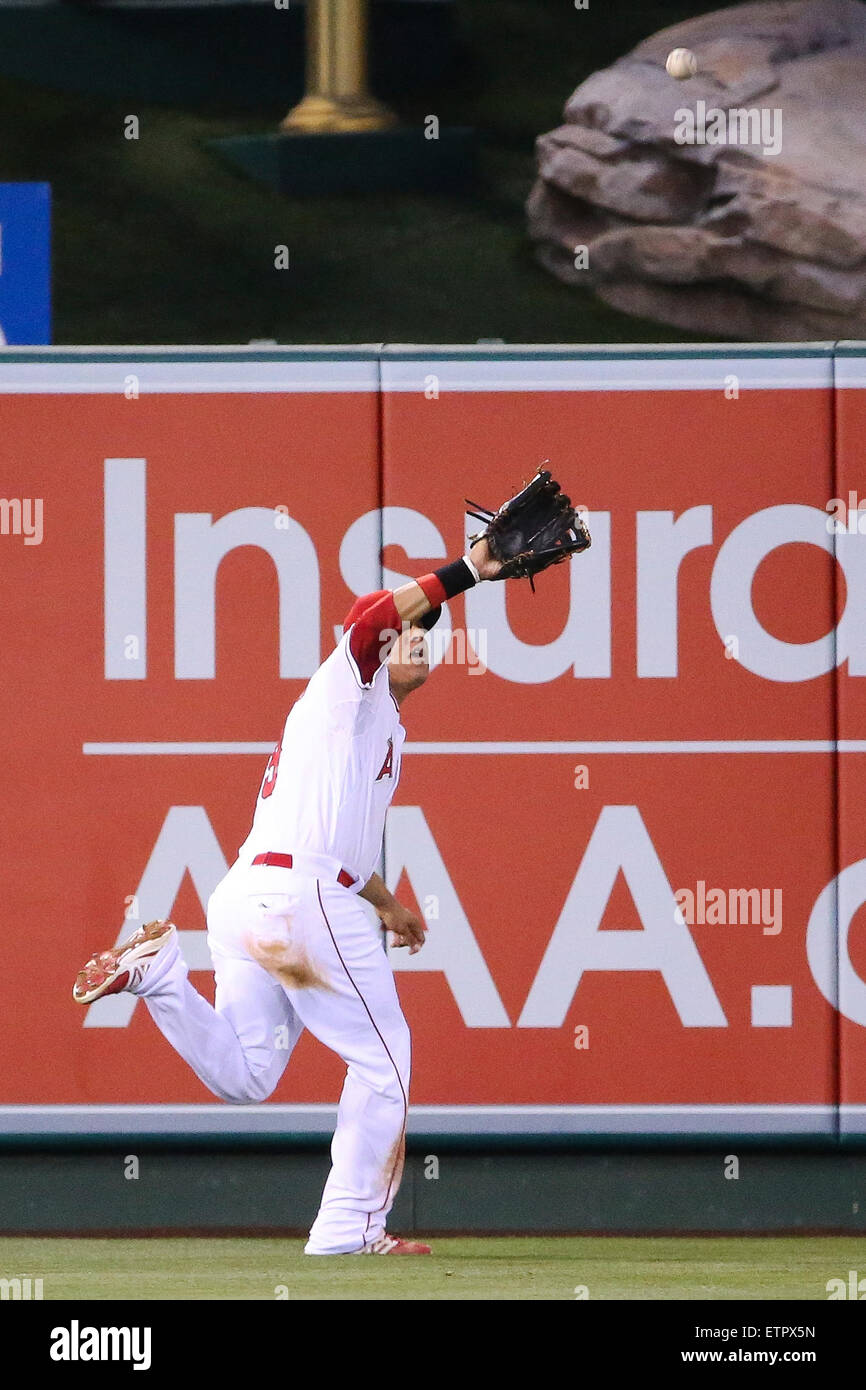 Peter navarro hi-res stock photography and images - Alamy