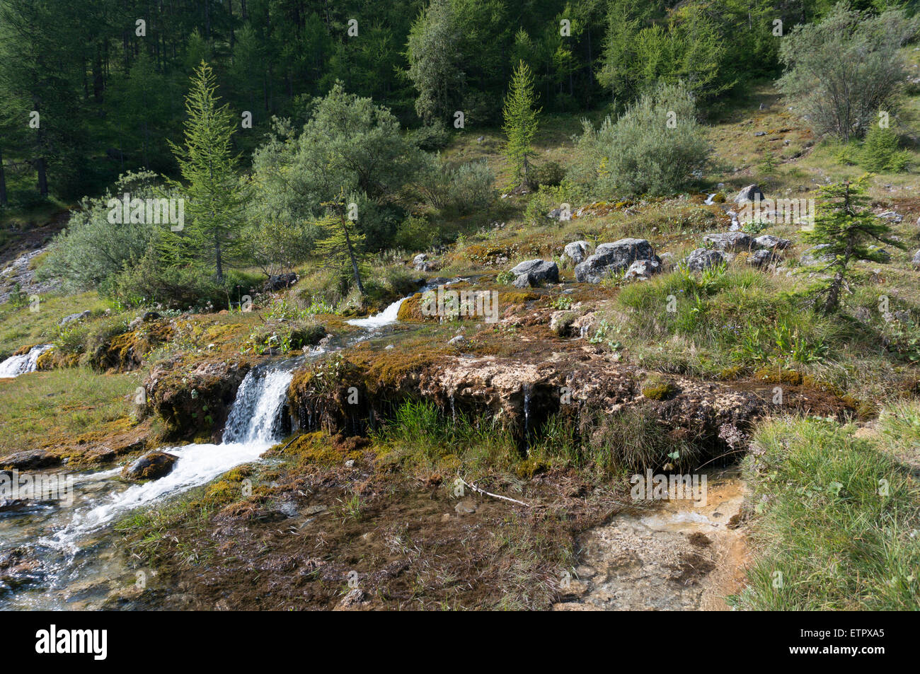 Sorgente hi-res stock photography and images - Alamy