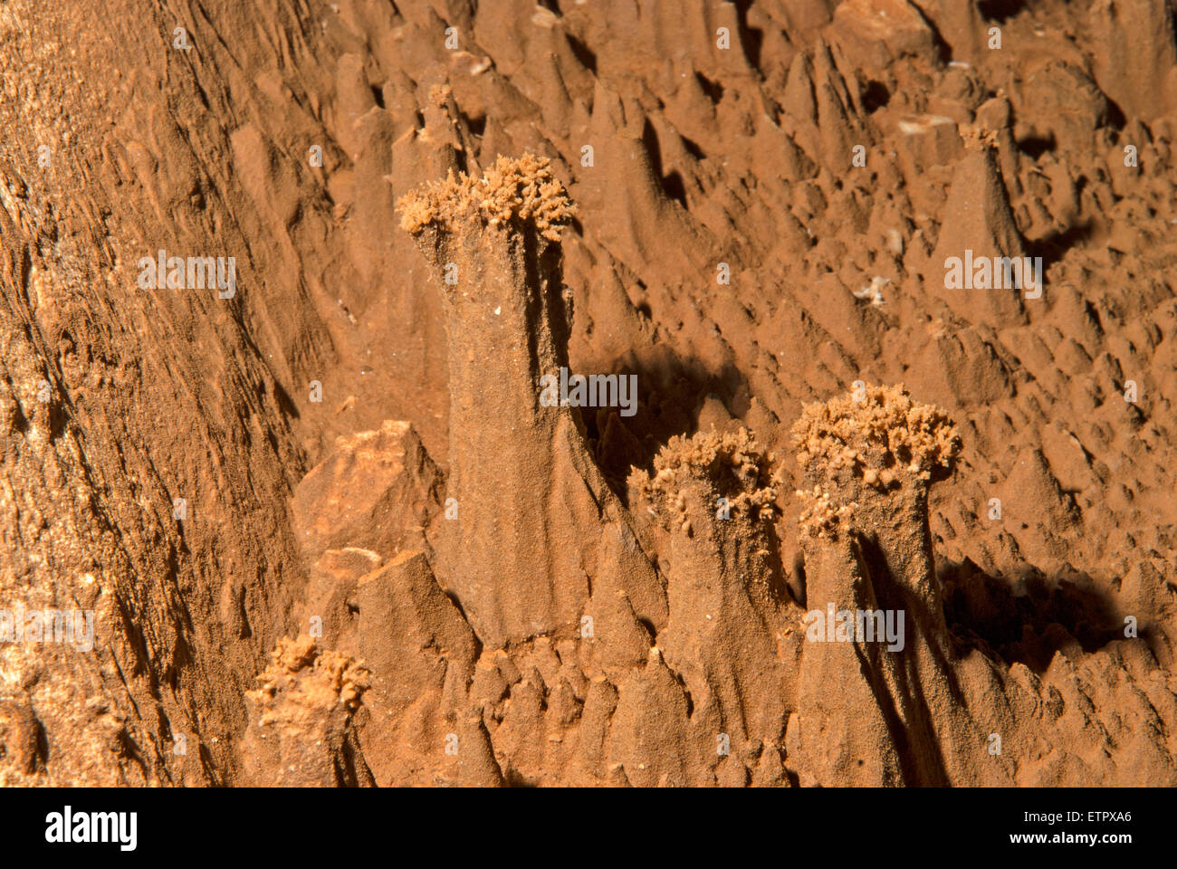 Clay figure in a cave Stock Photo - Alamy