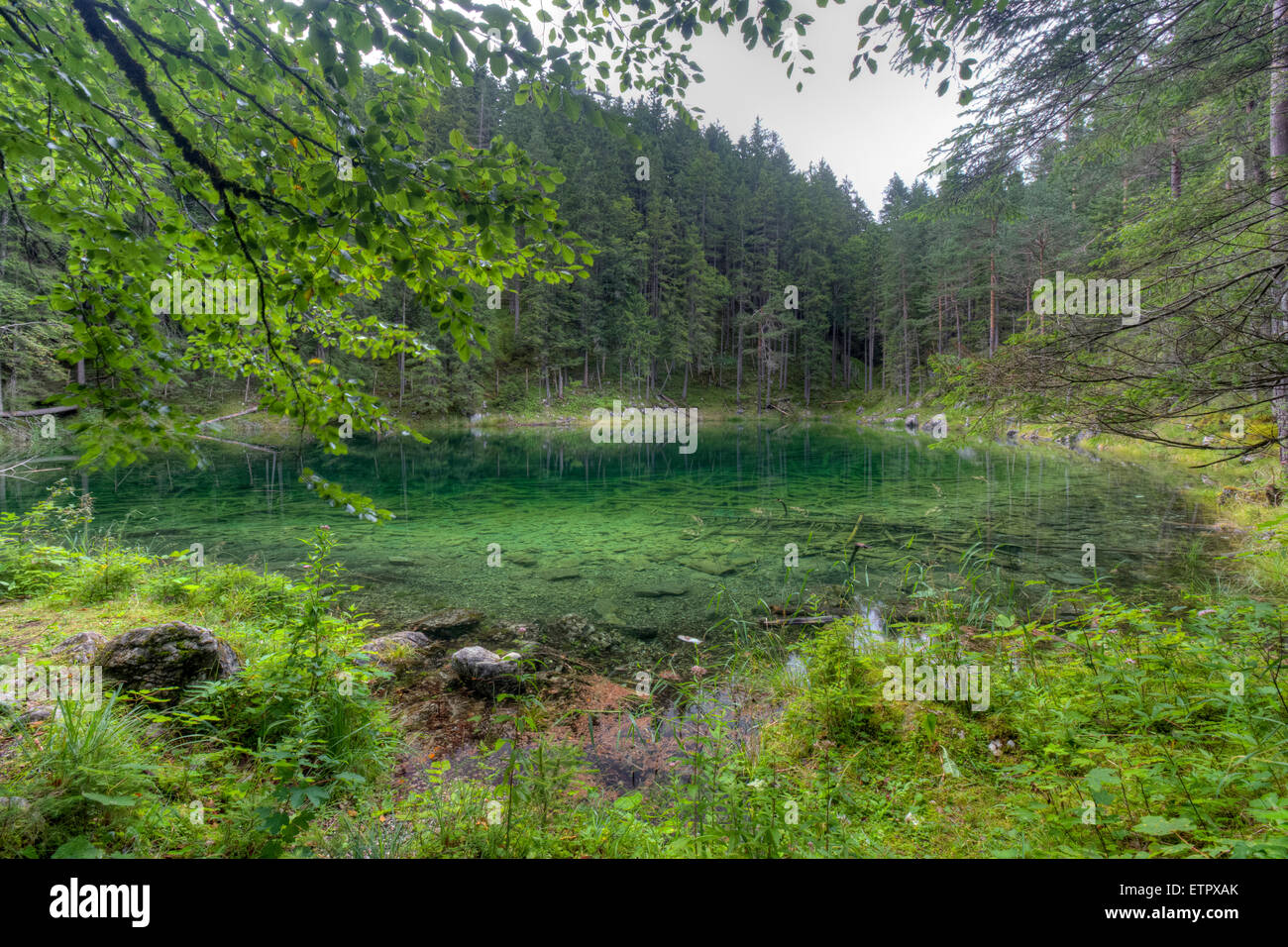 Steingringpriel' near lake Eibsee, Grainau, Upper Bavaria, Bavaria ...