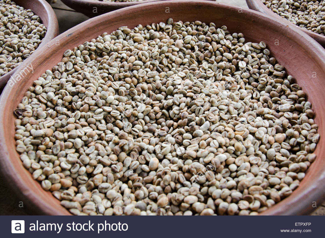 Java Indonesia Coffee Plantation High Resolution Stock Photography and ...