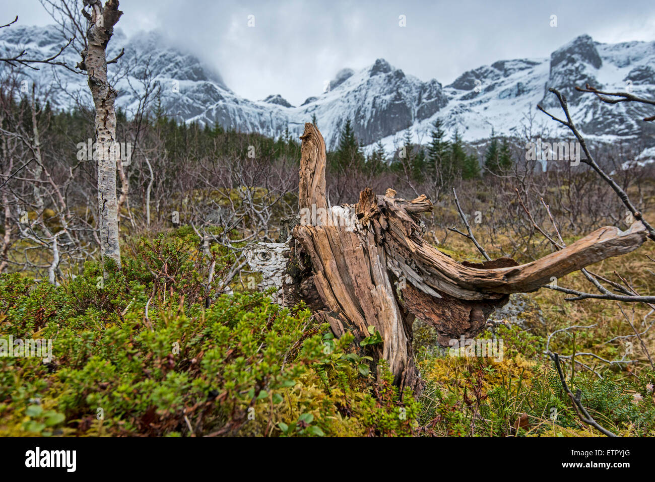 Root of mountain hi-res stock photography and images - Alamy