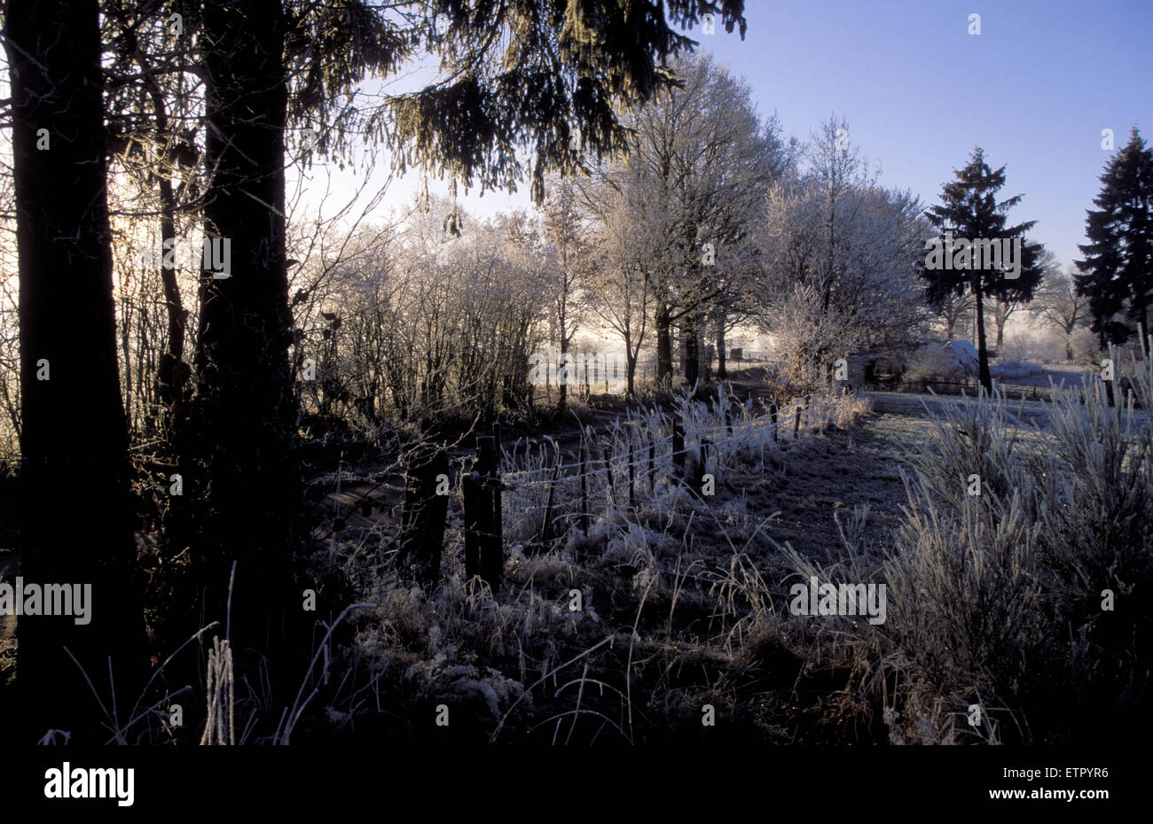 Bel belgium eastbelgium winter landscape hi-res stock photography and ...