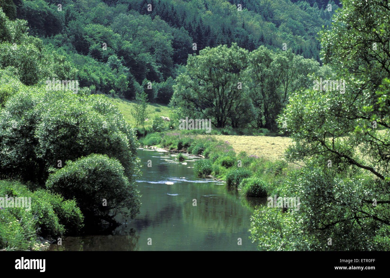 BEL, Belgium, Eastbelgium, the river Our near the village Ouren, at ...