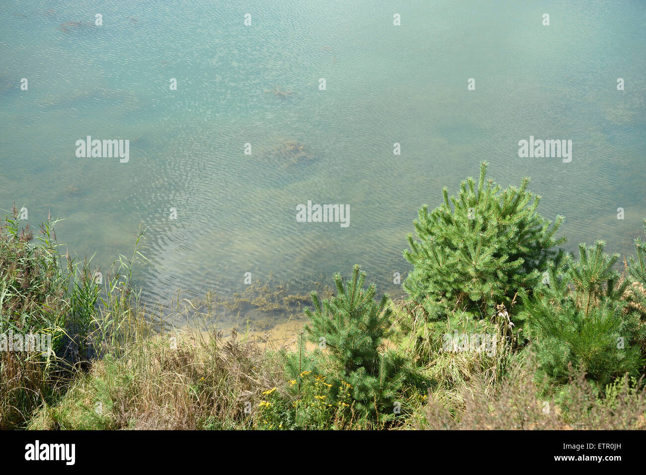 Edge of water hi-res stock photography and images - Alamy