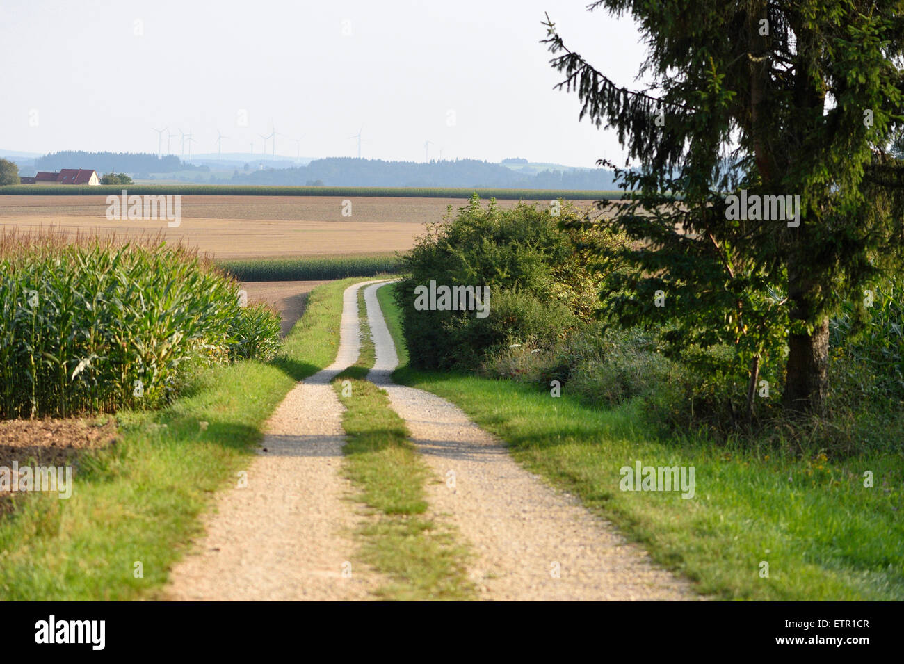 Landscape, gravel road, fields Stock Photo - Alamy