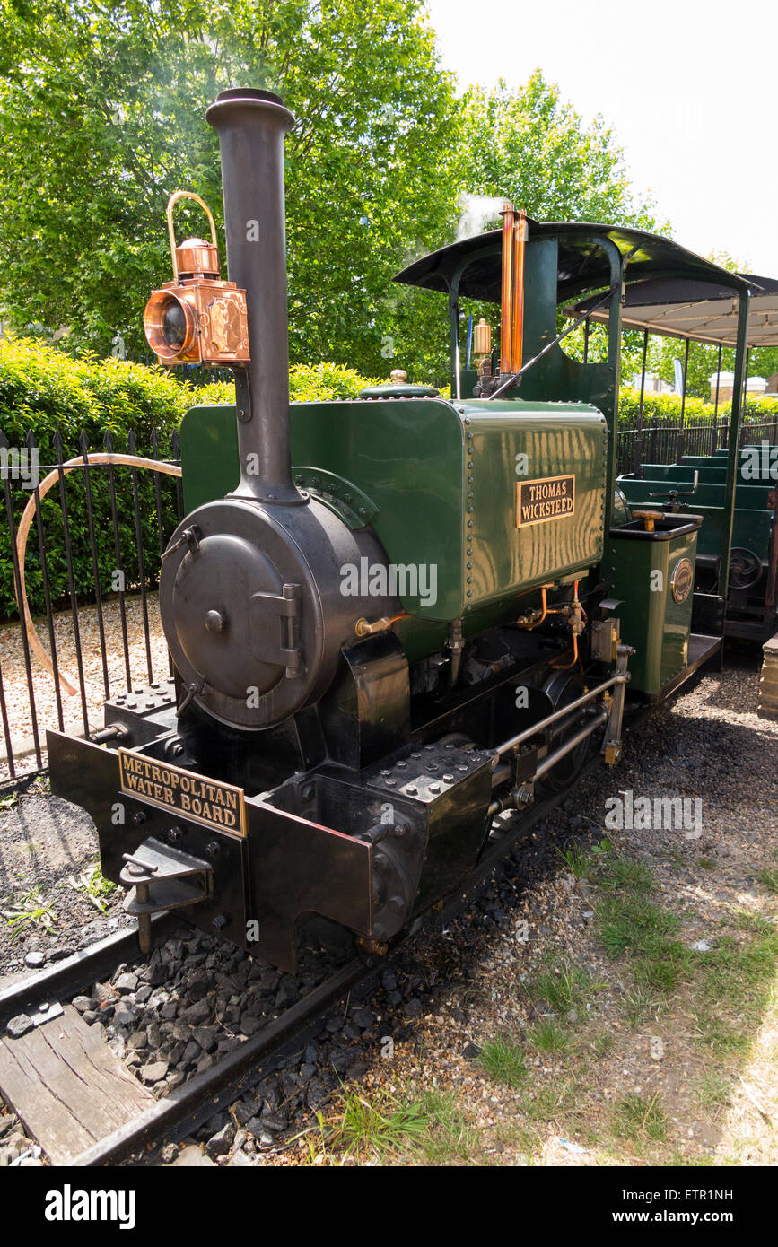 Miniature / model narrow gauge locomotive railway steam train and ...
