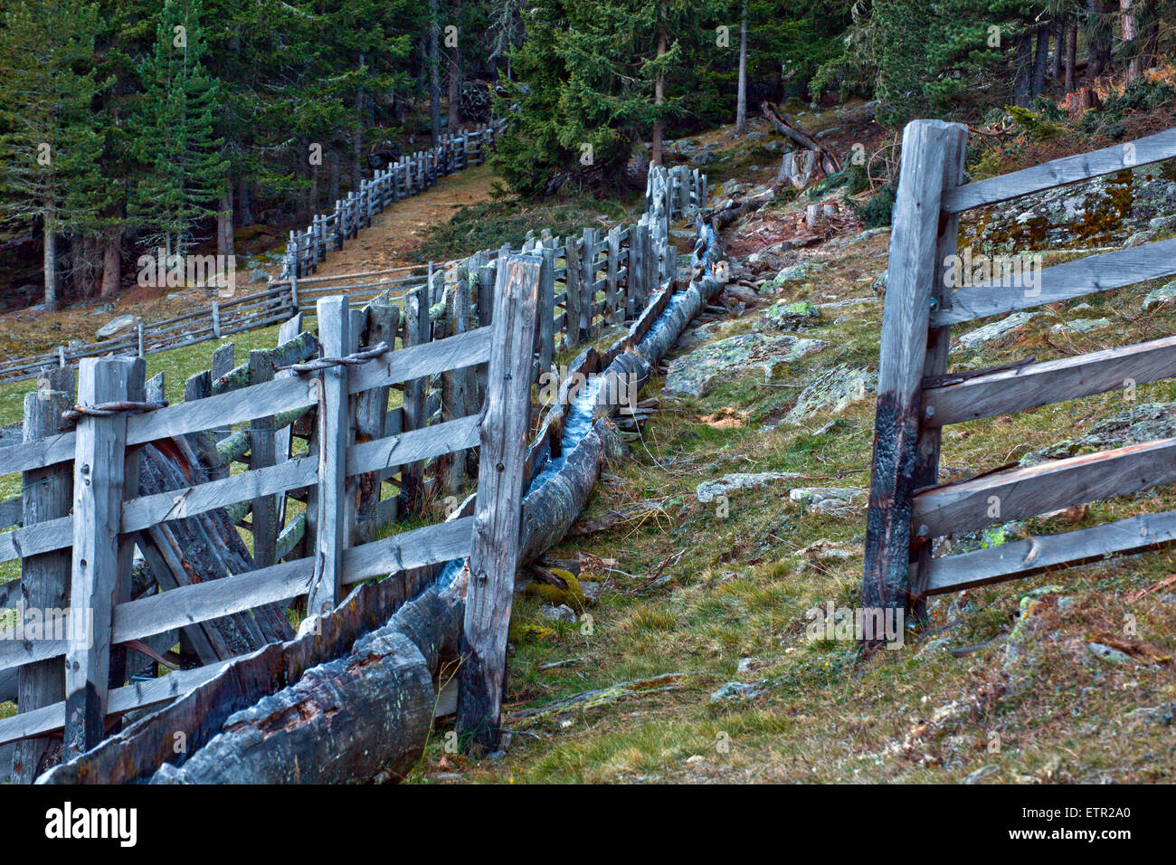 wooden water channel beside fence at mountain forest Stock Photo - Alamy