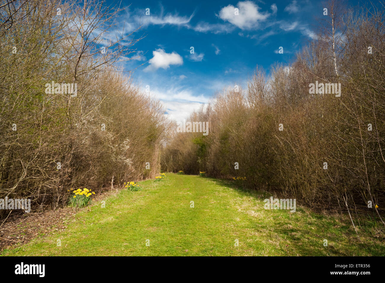 Bainton cambridgeshire hi-res stock photography and images - Alamy