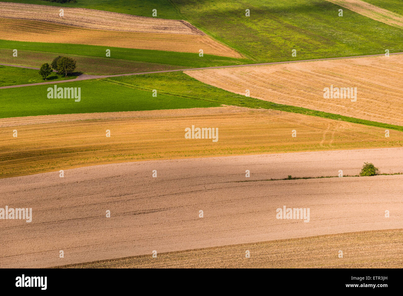 Germany, Baden-Wurttemberg, Swabian Alp, Mittlere Kuppenalb ...