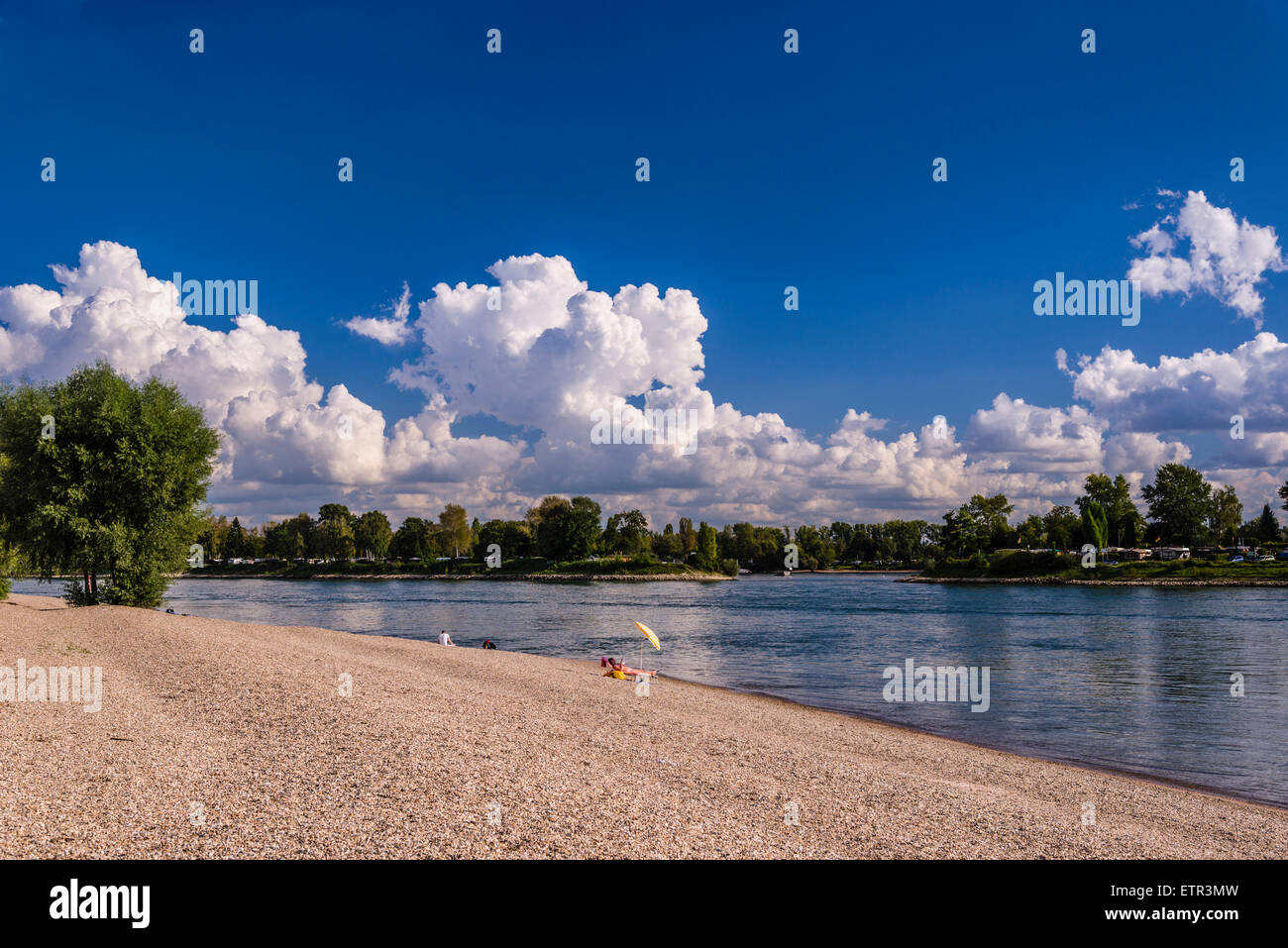 Germany, Baden-Wurttemberg, Rhine Neckar region, Mannheim, river Rhine ...