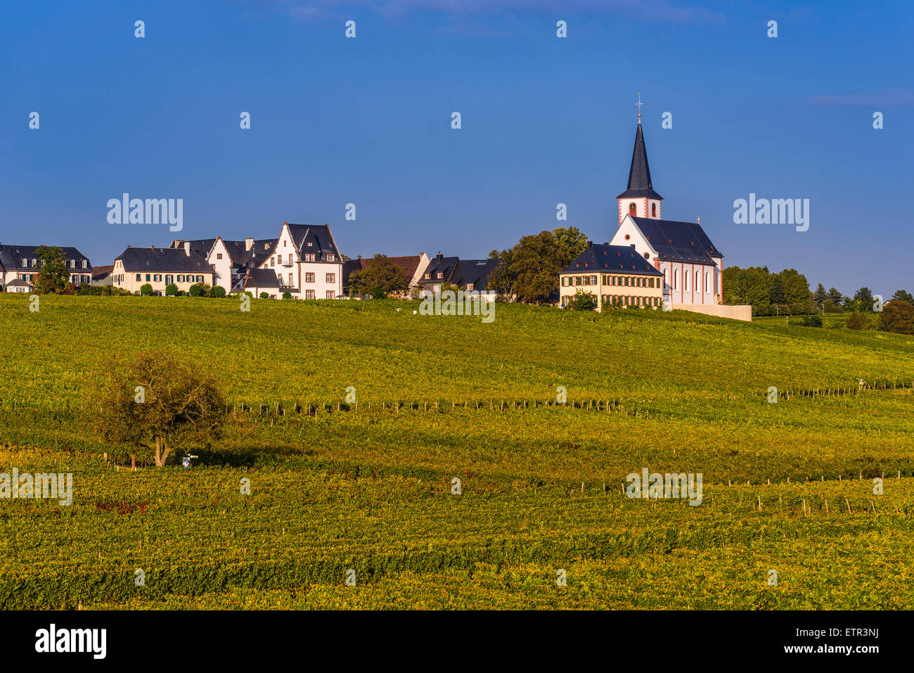 District of the sparkling wine hi-res stock photography and images - Alamy