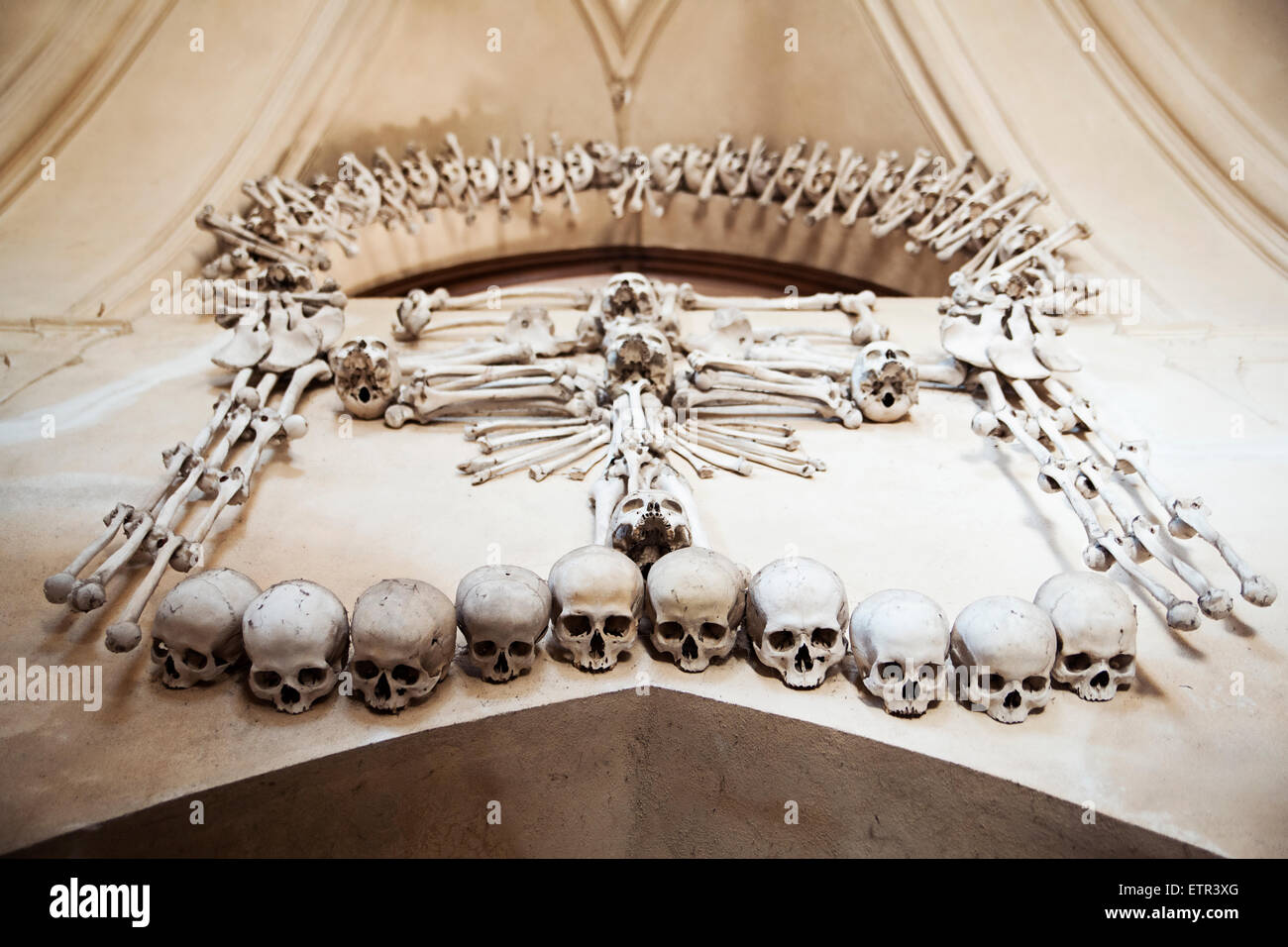 Creative arrangement set for human skeleton bones Stock Photo - Alamy