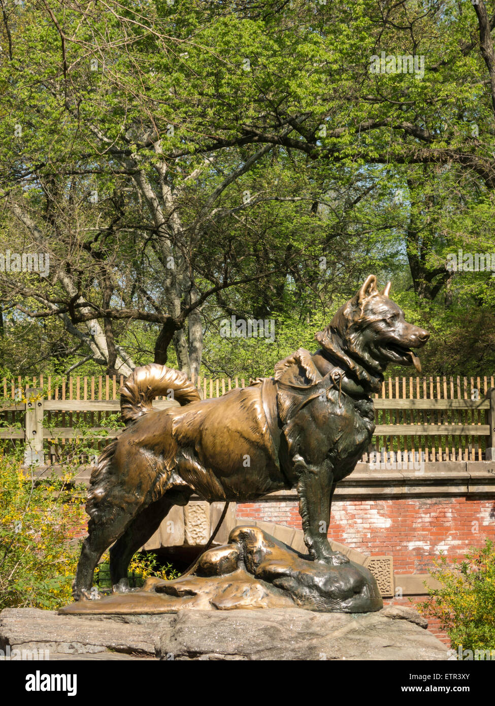 Sled Dog Statue, Balto, in Central Park NYC Stock Photo - Alamy
