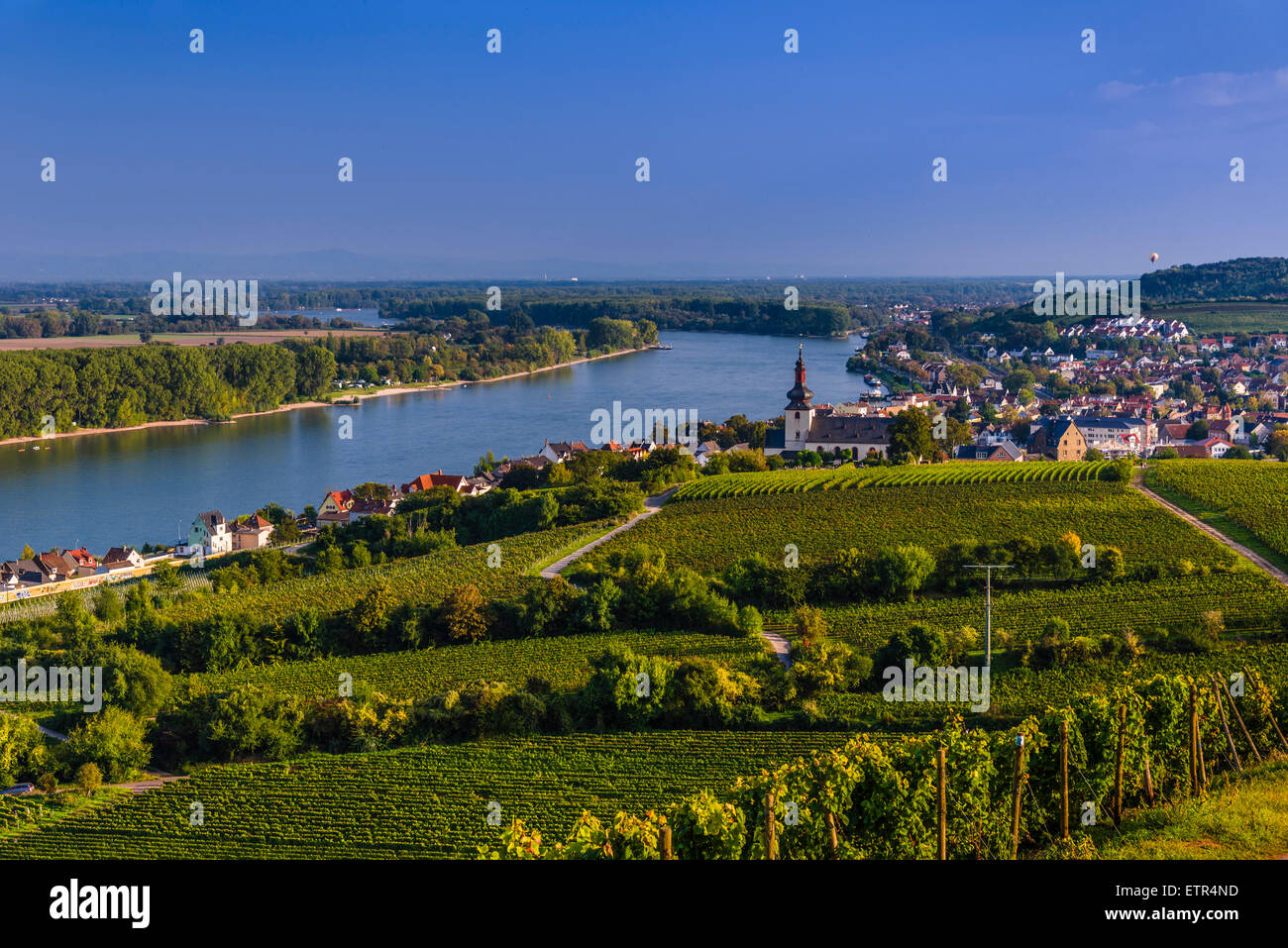 Germany, Rhineland-Palatinate, Rheinhessen region (Rhine-Hesse ...
