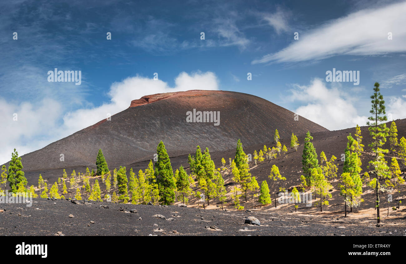 Volcan de Arenas Negras, the source of the 1706 lava eruption on ...