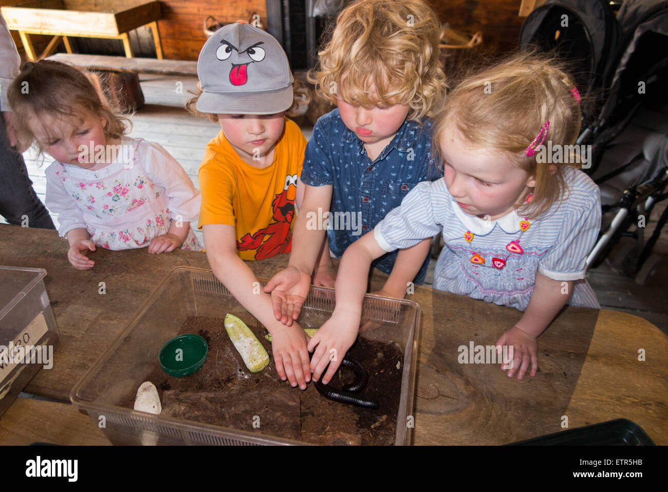 Entomologist child hi-res stock photography and images - Alamy